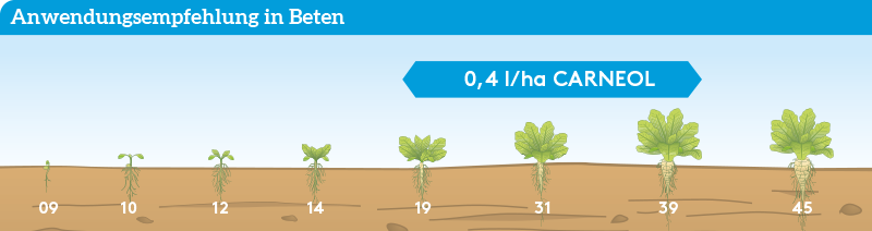 CARNEOL® Produktinformationen | ADAMA Produkte Deutschland